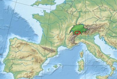 Valais Blackneck Goat Breed Profile - Goat Journal